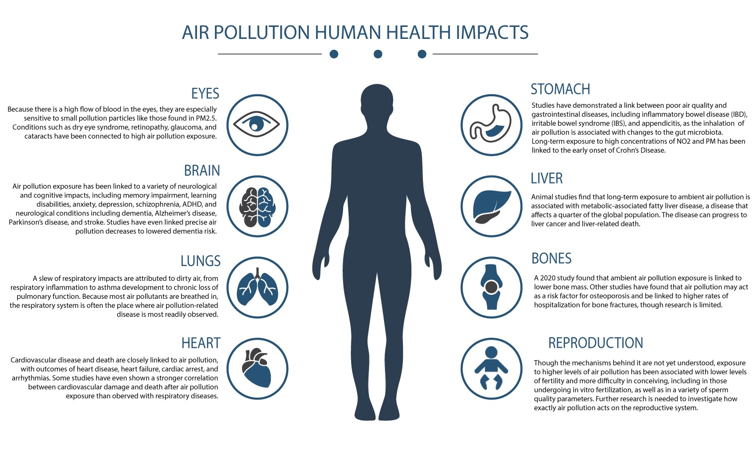 How does Air Pollution affect Human Health? | Clarity